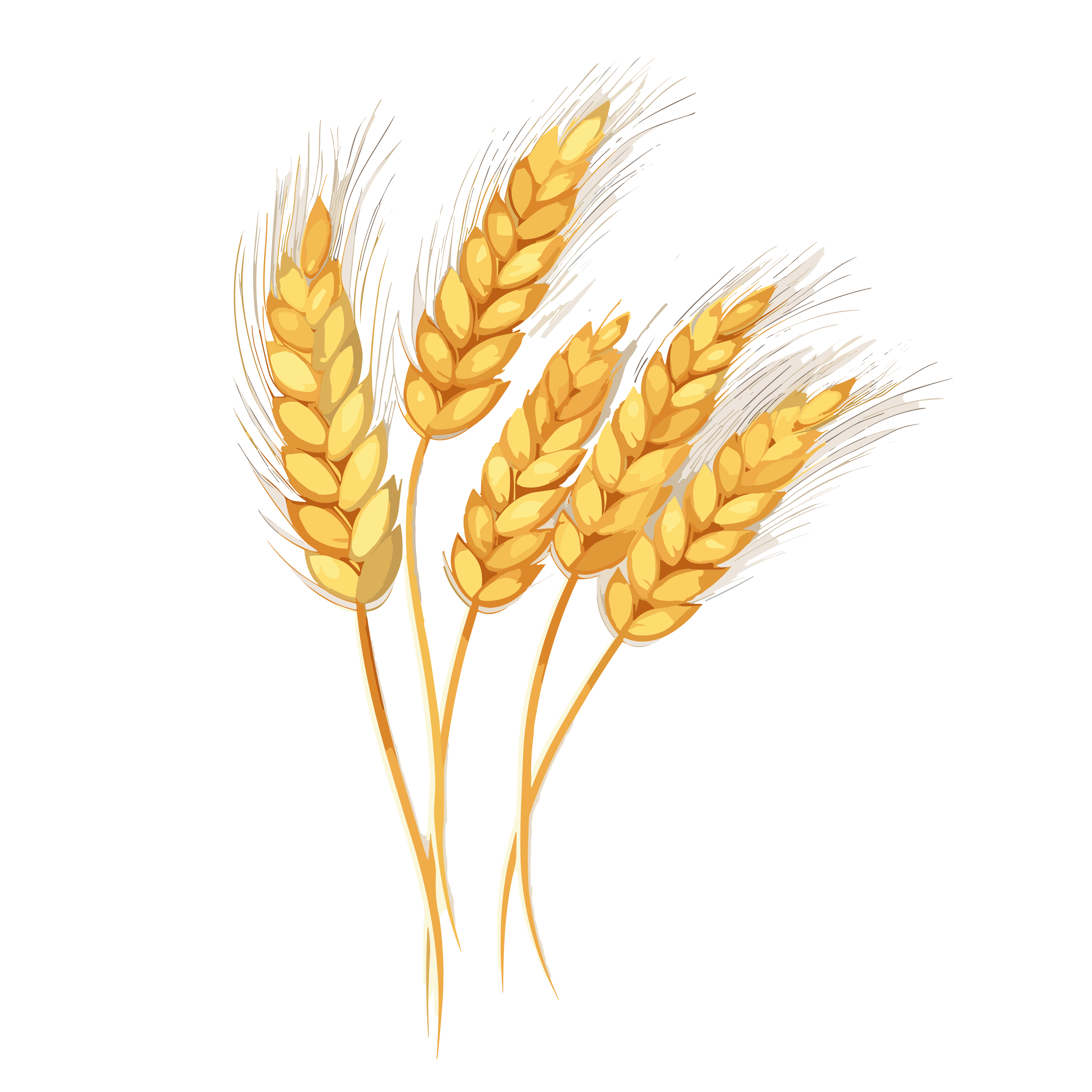 Wheat Spike Vector Illustration - High-Quality Agricultural Graphics ...