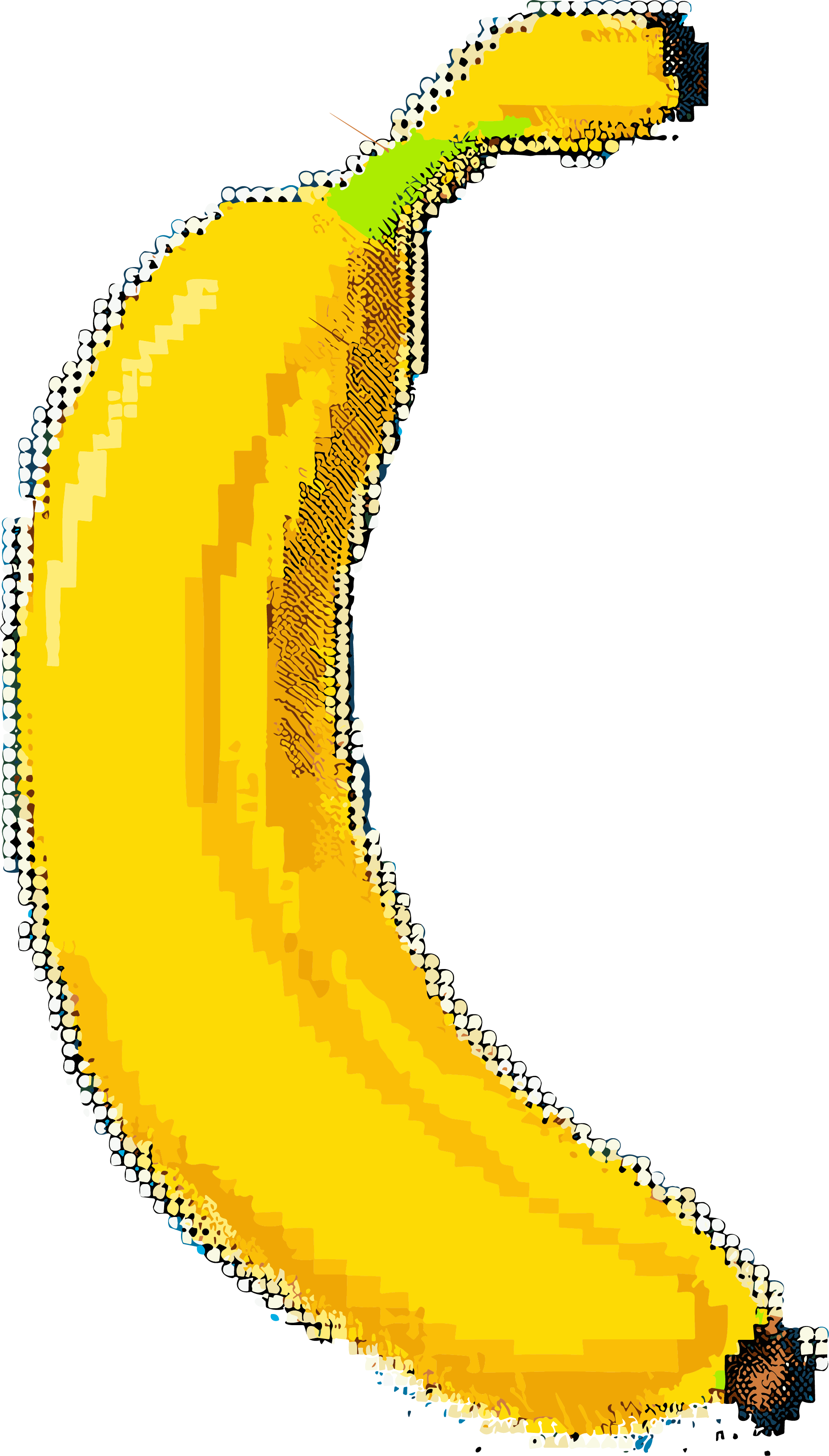 banana PNG Images | PNGCAT
