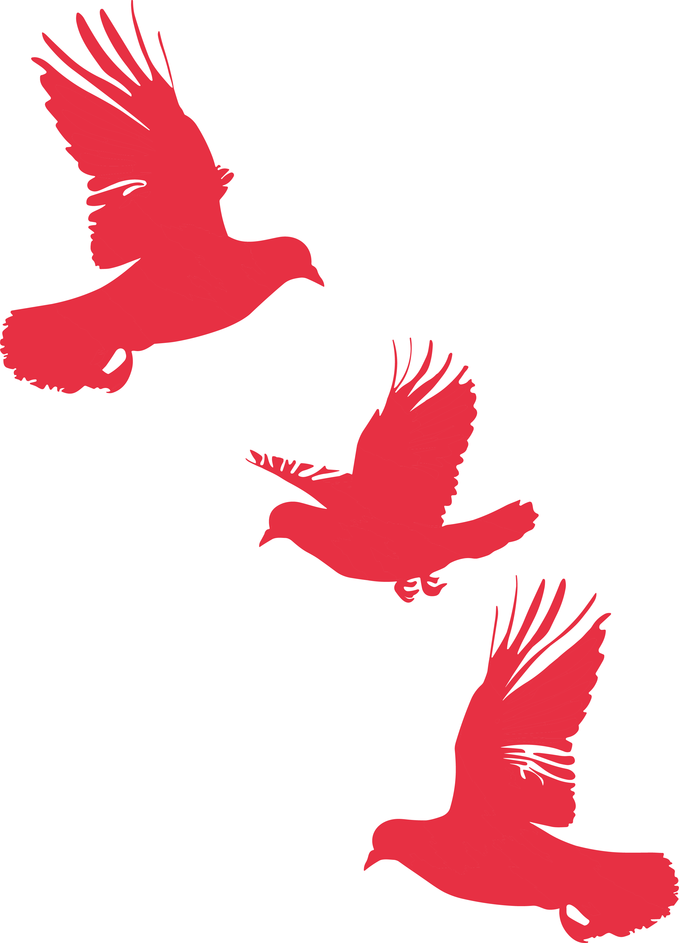 Stunning Red Peace Dove Illustration - Symbol of Hope and Harmony | PNGCAT