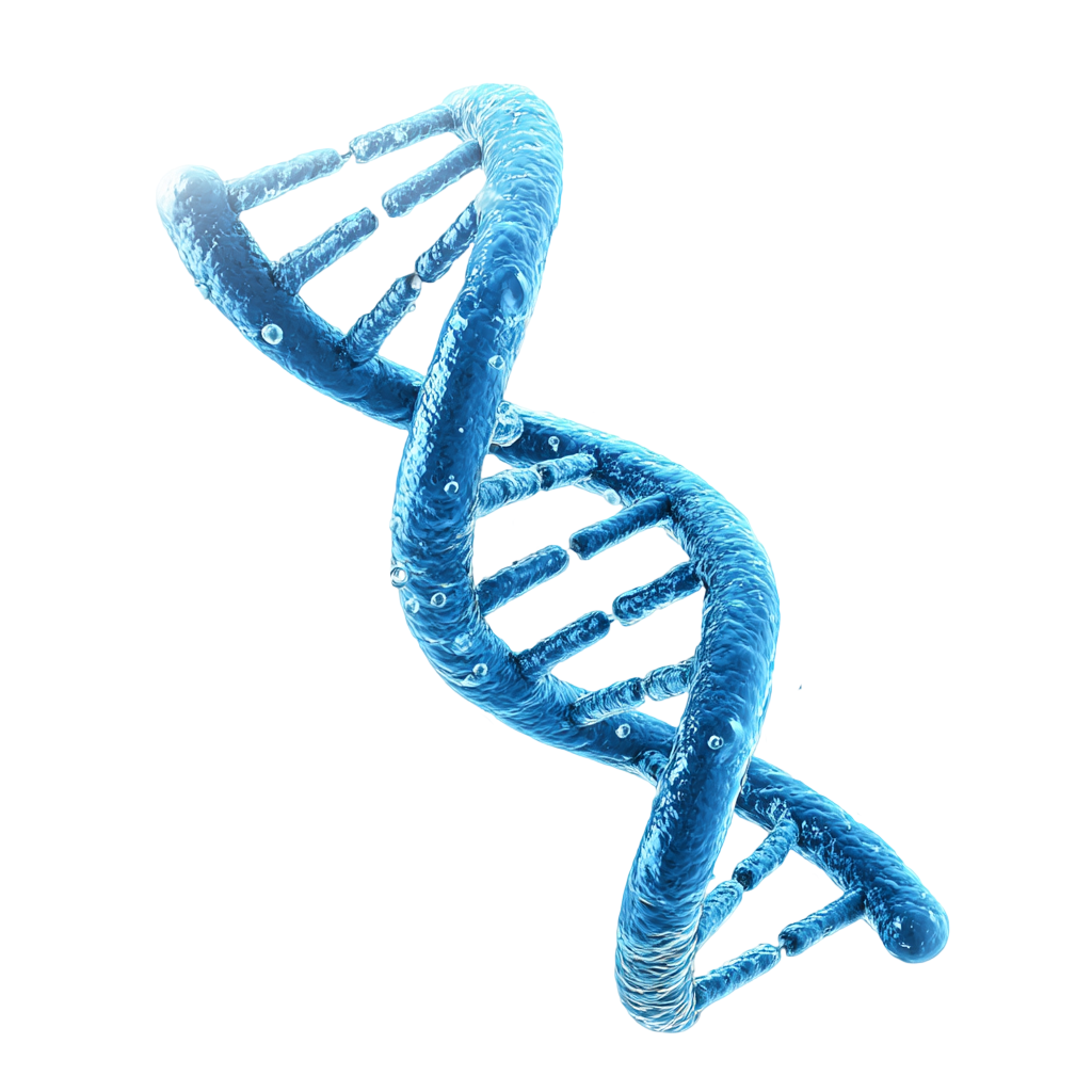 dna model PNG Images | PNGCAT